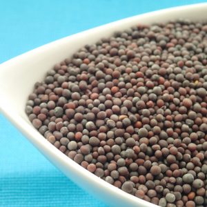 Mostarda Negra (Grão)